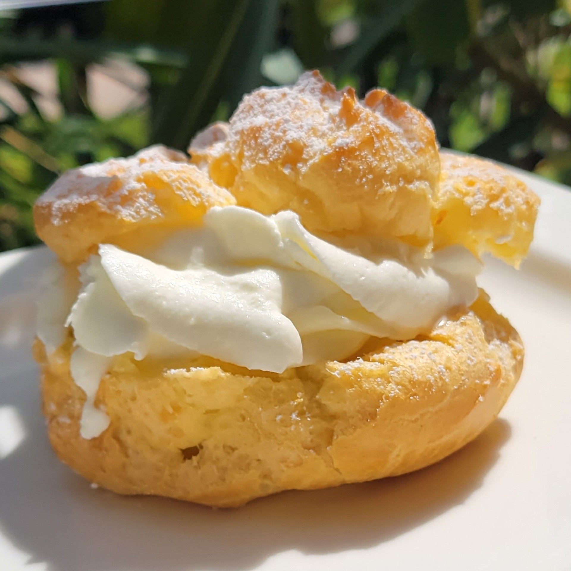 Princess Krofne (cream puffs) | Angelic Bakery & Desserts